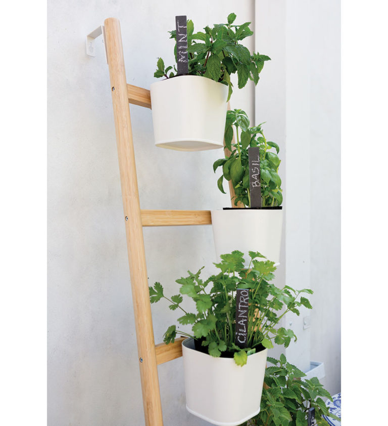 21 Awesome Indoor Herb Garden Ideas - The Unlikely Hostess