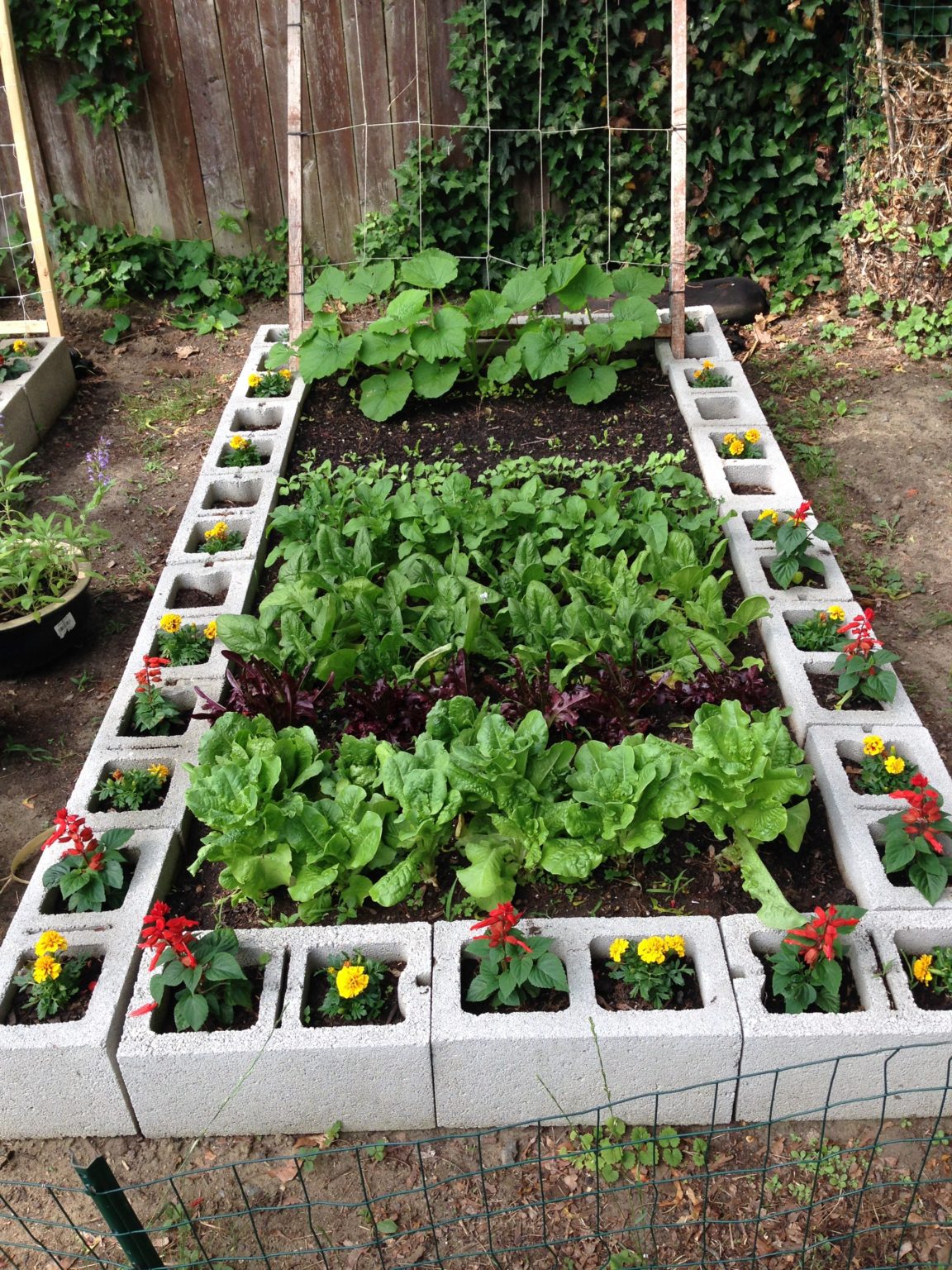 20 Inspiring Vegetable Garden Design Ideas & Layouts - The Unlikely Hostess