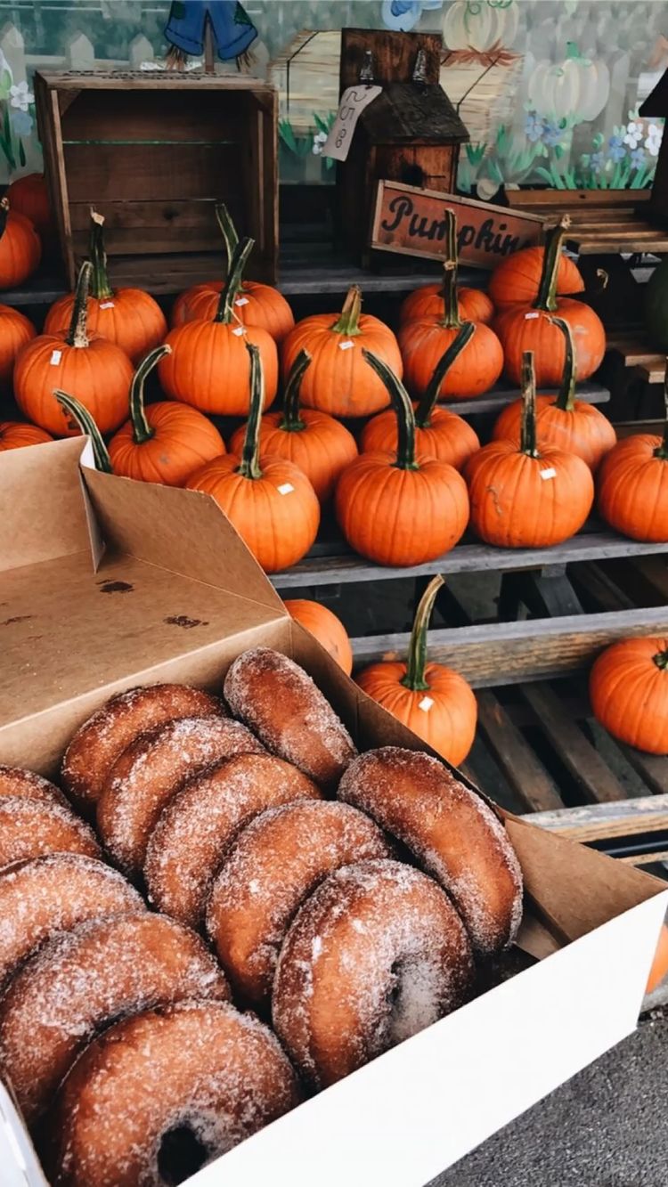 25 Stylish Ways To Create Cozy Fall Aesthetic - The Unlikely Hostess